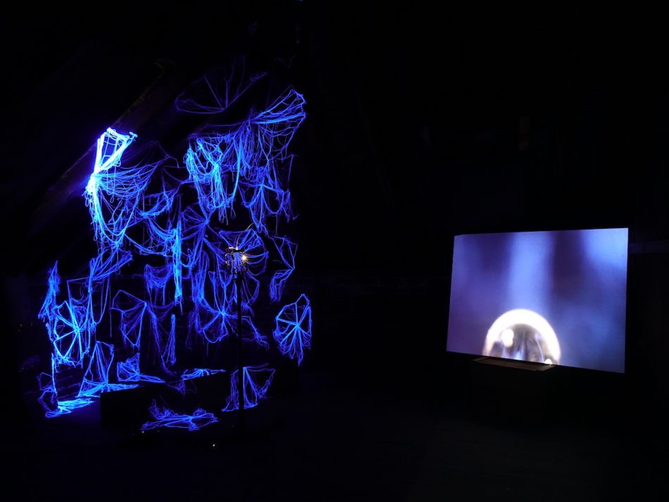 LIFE ANALOG Sandra Gil & Olivier Perriquet – Espace Croisé